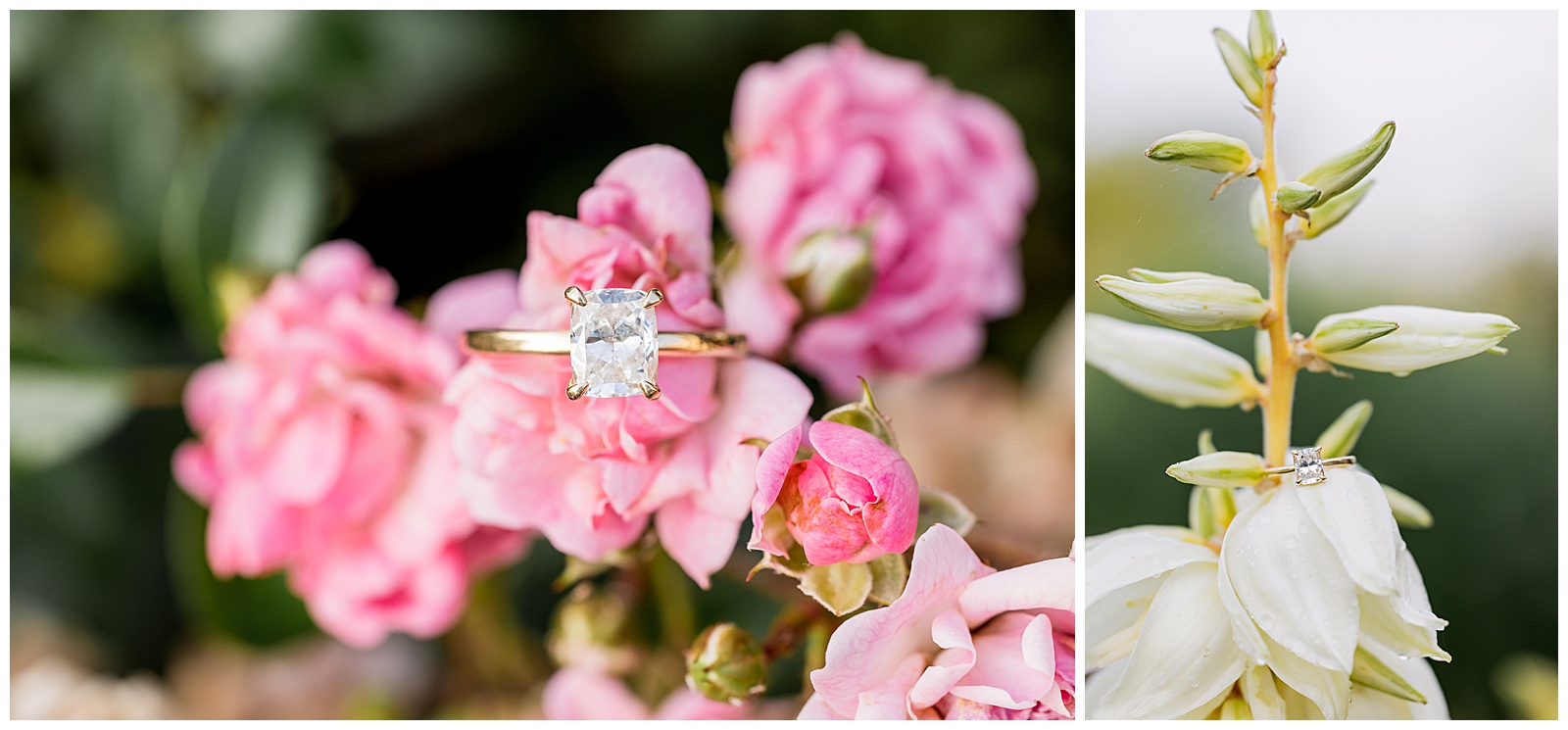 Abigail + Vince {engaged} | Baltimore Country Club Engagement Session ...
