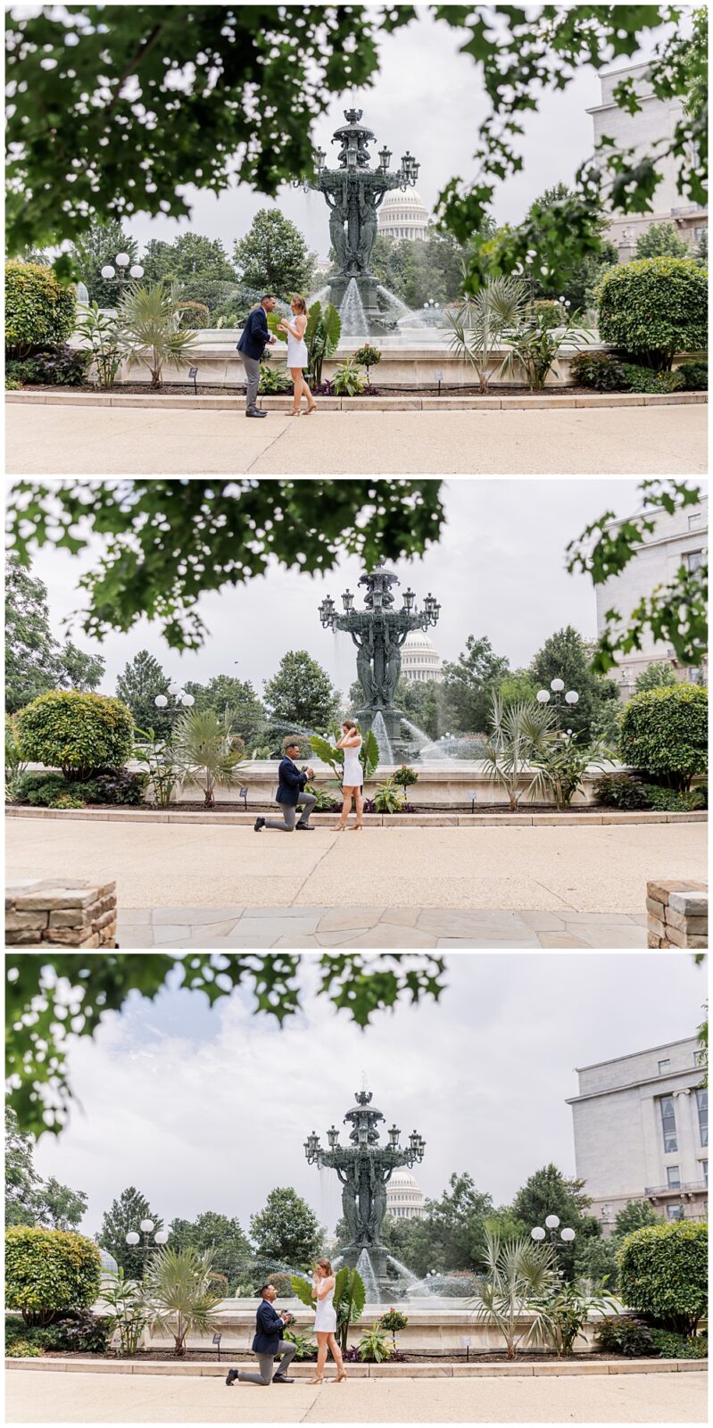 Imran + Katy {Proposal} | Washington DC | Baltimore Top 10 Wedding ...